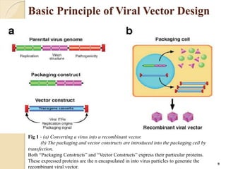 Gene Therapy - A Novel Approch in Medical Treatment | PPTX