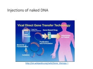 Gene therapy | PPTX | Physical Therapy | Wellness