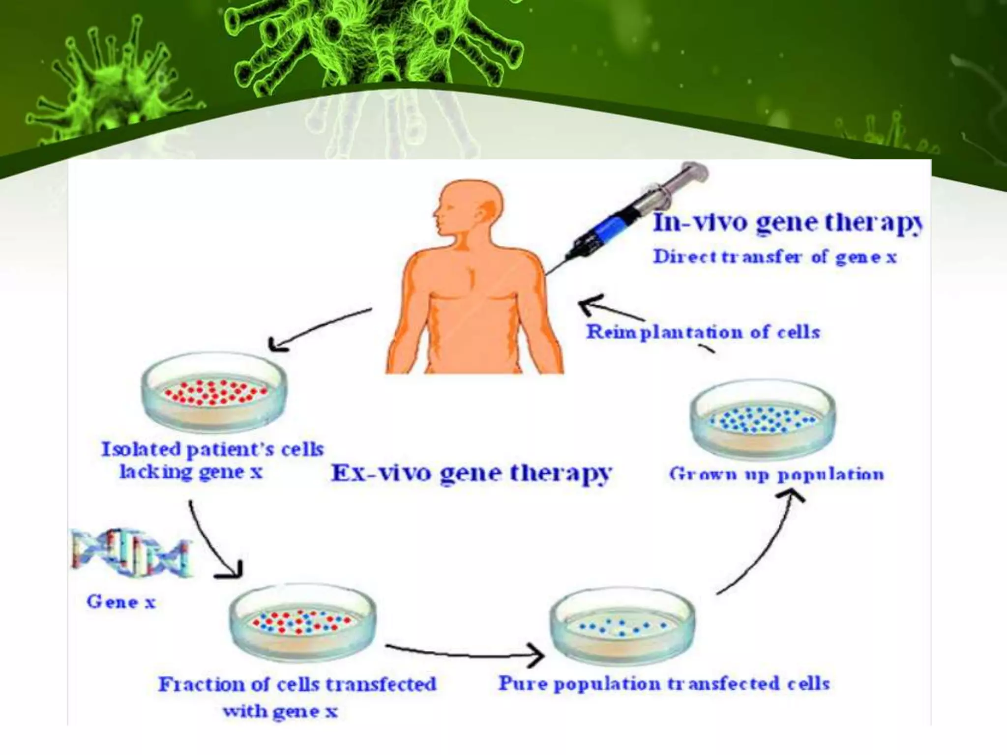 Gene therapy ppt for students and staff | PPTX