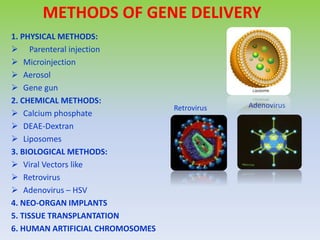 Gene therapy | PPT