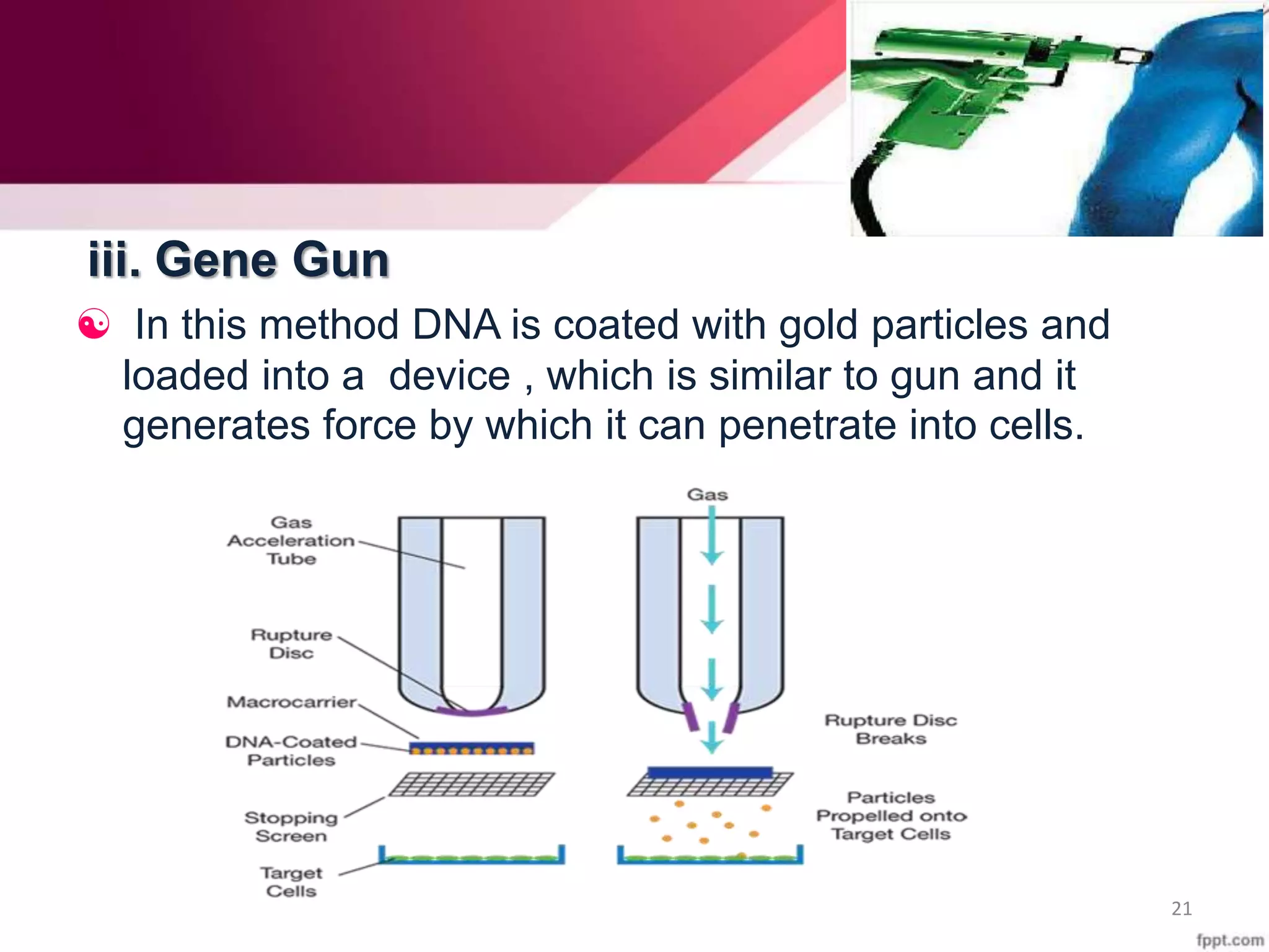 Gene therapy | PPTX