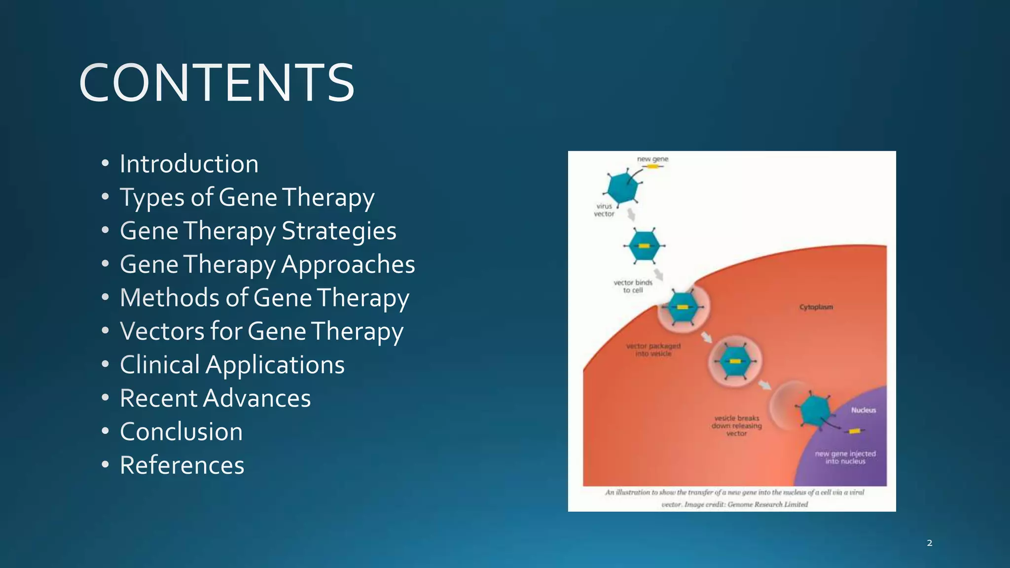 Gene Therapy-Types, Strategies, Approaches, Methods, Vectors, Clinical ...