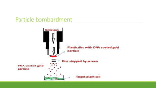 Basics of Gene Therapy | PPT