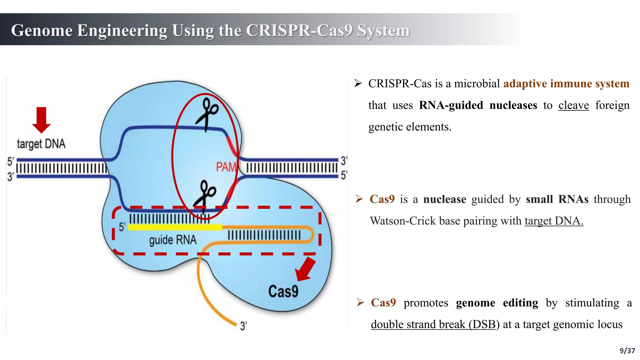 Gene Therapy.pptx