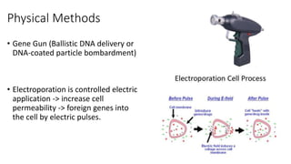 Gene Therapy in Orthopaedics.pptx