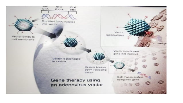 Gene therapy - gene corrective technique | PPTX