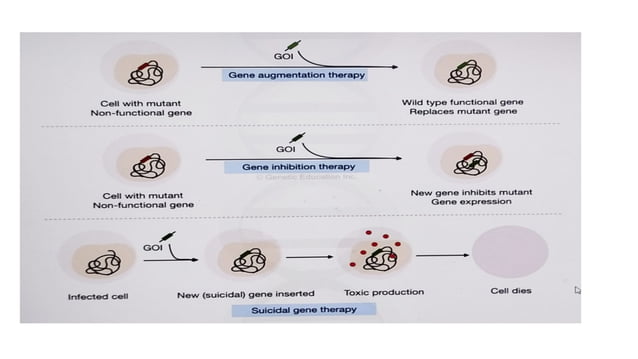 Gene therapy - gene corrective technique | PPTX