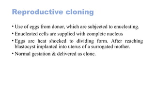Gene Therapy: A Revolutionary Approach in Nursing—.pptx