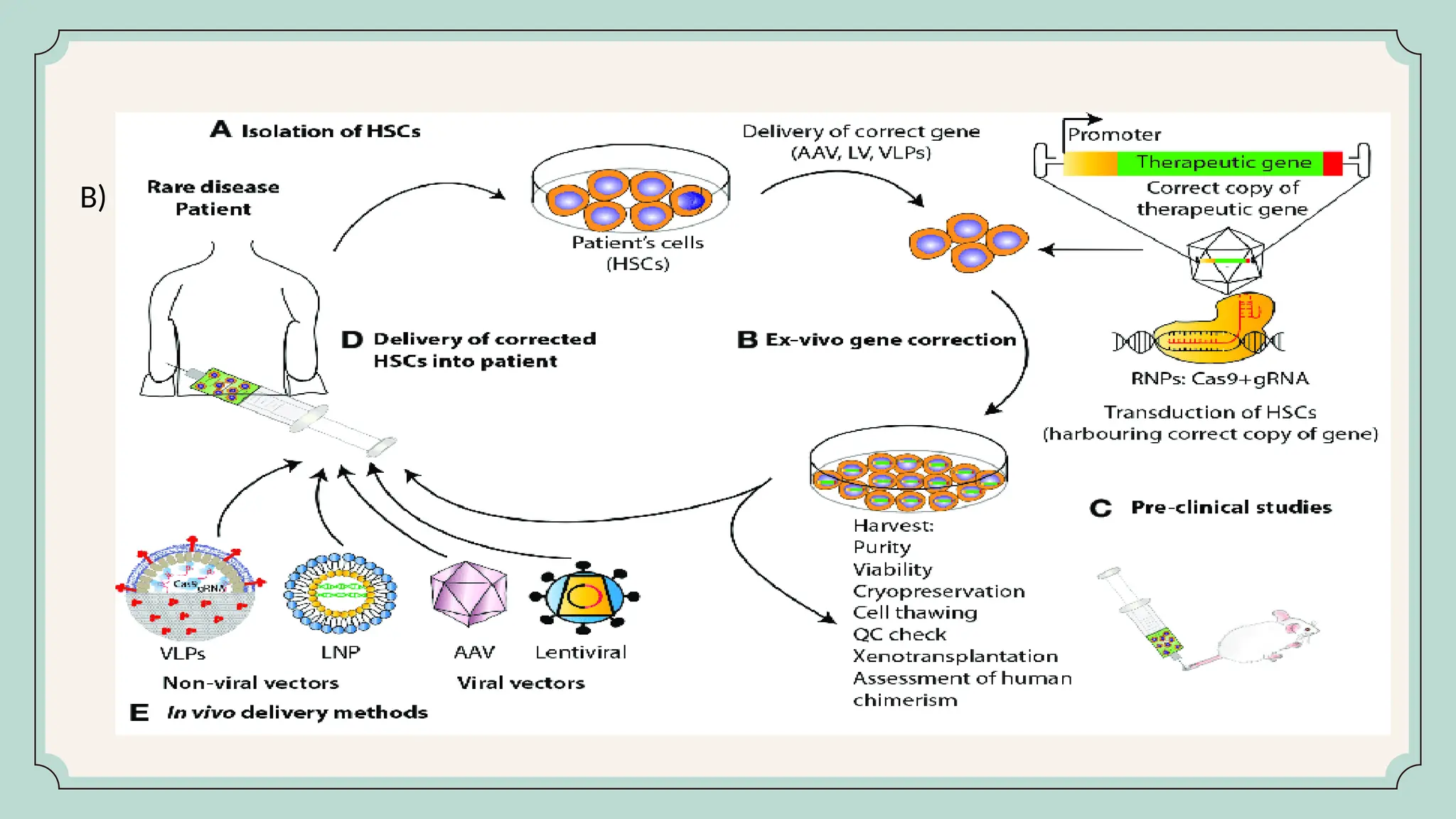 INTRODUCTION AND IMPORTANCE OF GENE THERAPY.pptx