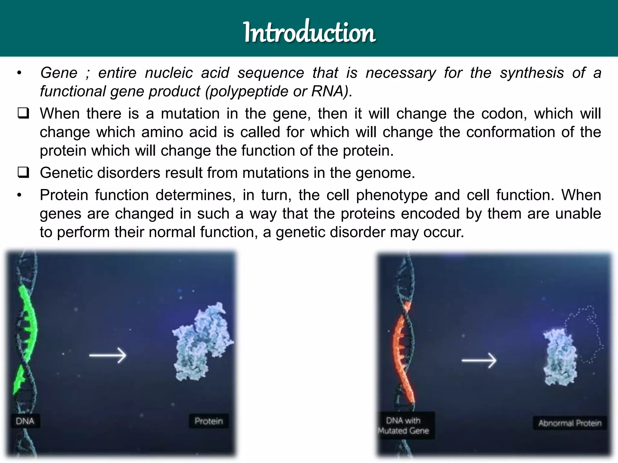 Gene Therapy Ex Vivo Method Ppt