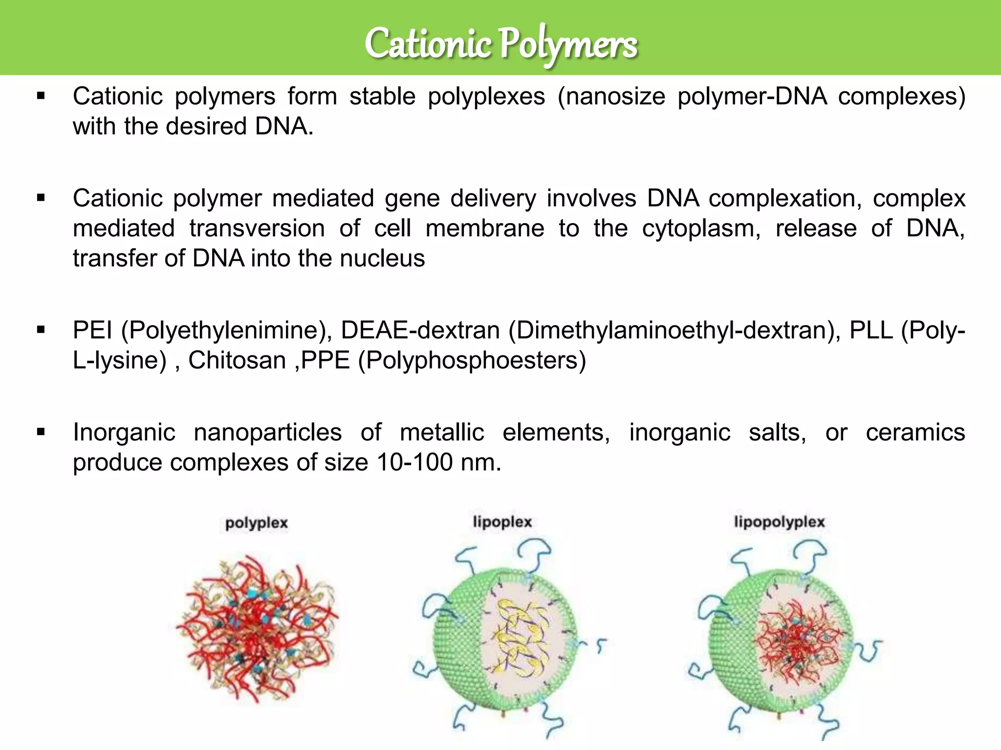 Gene therapy ex vivo method | PPTX