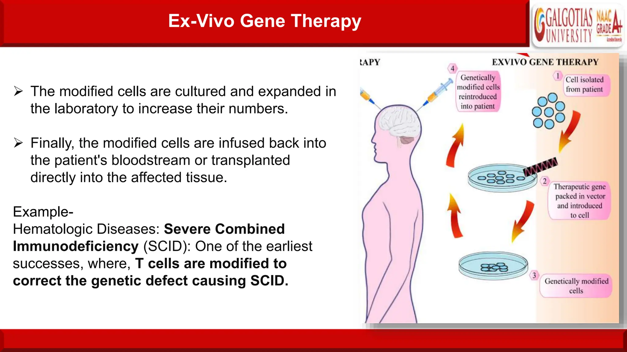 Gene Therapy – Introduction (Ex-vivo and In-Vivo Gene Therapy) - 2024 ...