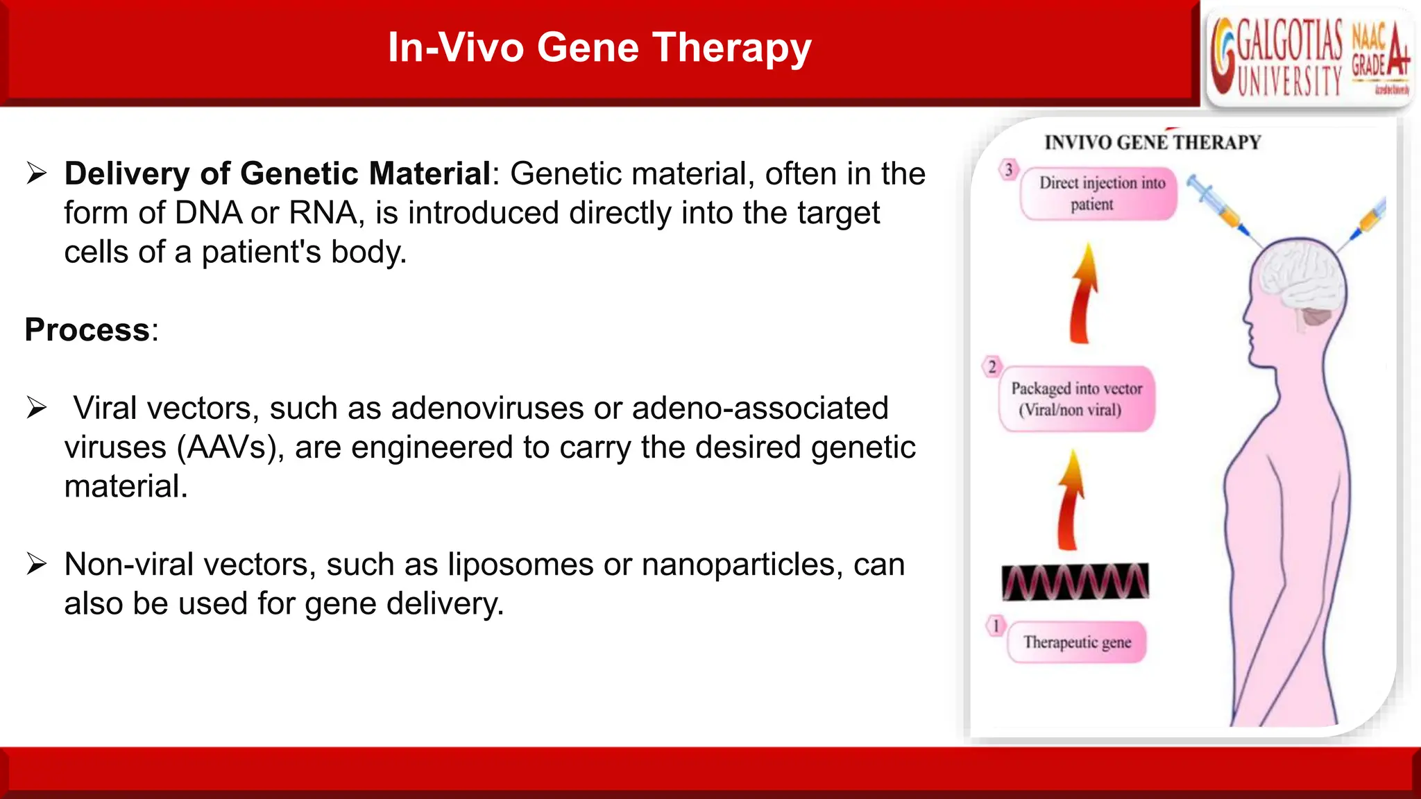 Gene Therapy – Introduction (Ex-vivo and In-Vivo Gene Therapy) - 2024 ...