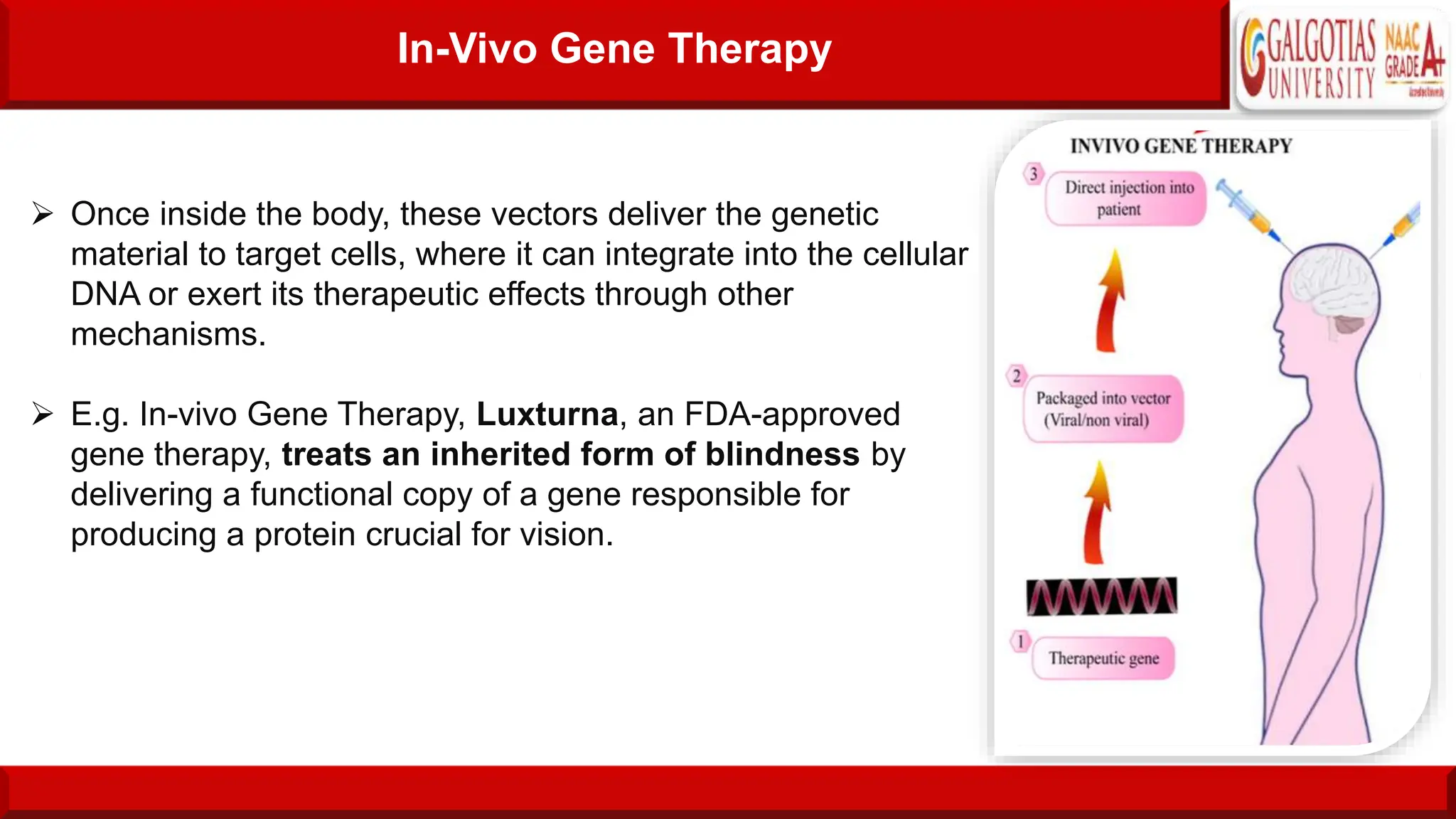 Gene Therapy – Introduction (Ex-vivo and In-Vivo Gene Therapy) - 2024 ...
