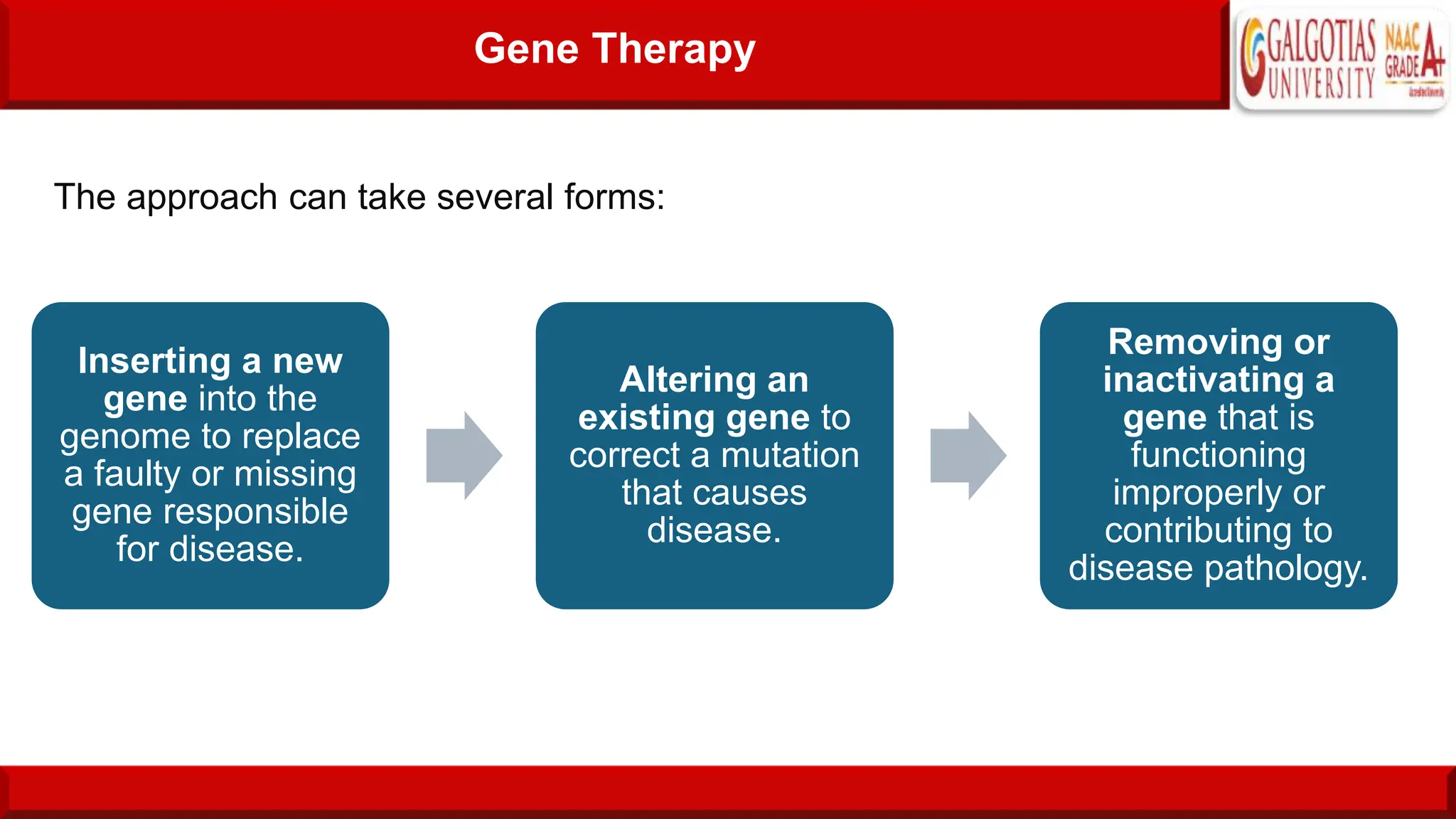 Gene Therapy – Introduction (Ex-vivo and In-Vivo Gene Therapy) - 2024 ...