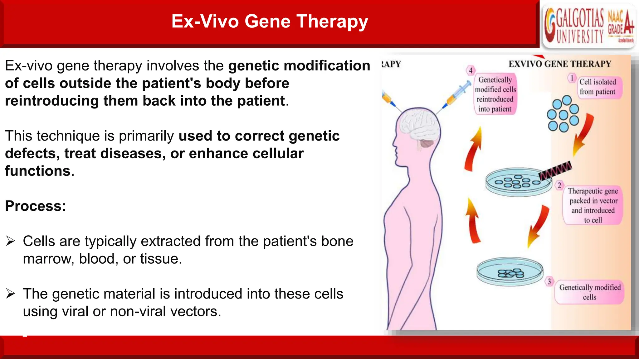 Gene Therapy – Introduction (Ex-vivo and In-Vivo Gene Therapy) - 2024 ...