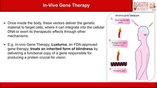Gene Therapy – Introduction (Ex-vivo and In-Vivo Gene Therapy) - 2024 ...