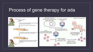 Gene therapy .pptx