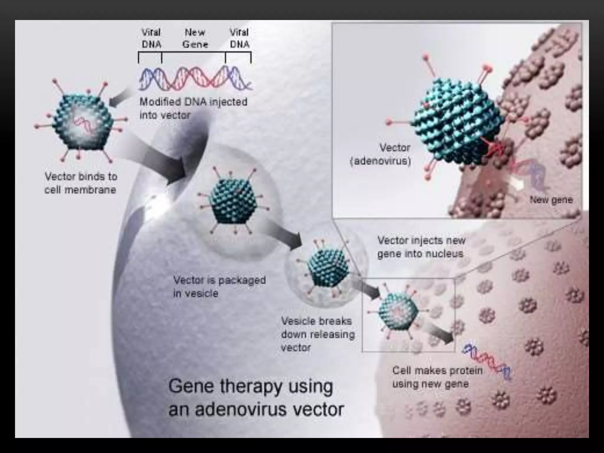 Gene therapy and gene delivery systems | PPTX