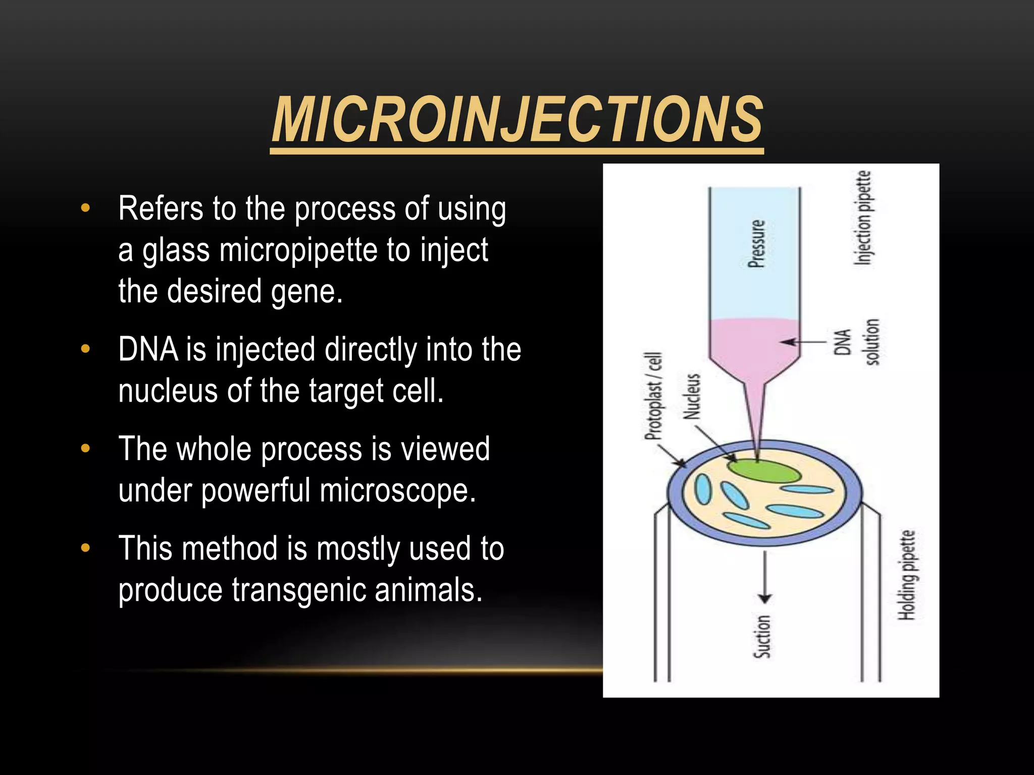 Gene therapy and gene delivery systems | PPTX