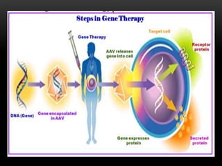 Gene therapy and gene delivery systems | PPTX