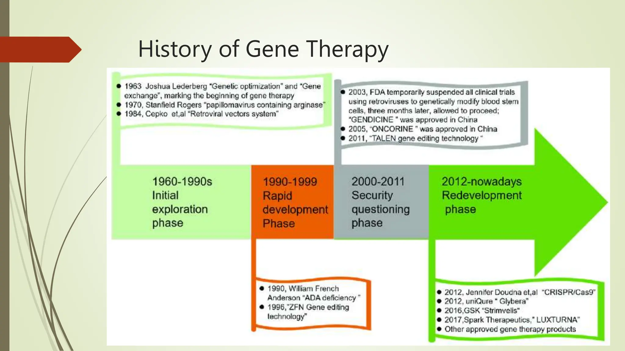 GENE THERAPY [Autosaved].pptx A brief explanation about Gene Therapy | PPT