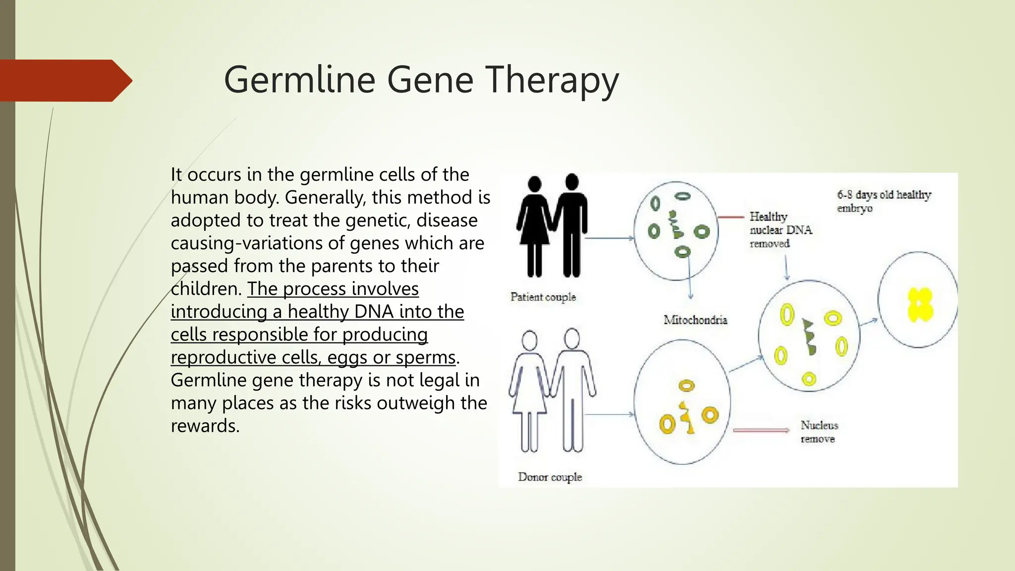 GENE THERAPY [Autosaved].pptx A brief explanation about Gene Therapy | PPT