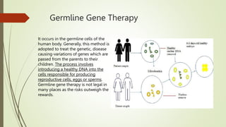 GENE THERAPY [Autosaved].pptx A brief explanation about Gene Therapy | PPT