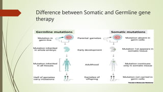 GENE THERAPY [Autosaved].pptx A brief explanation about Gene Therapy | PPT