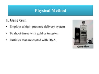 Gene Therapy & Biosafety Ethics and funtions | PPT