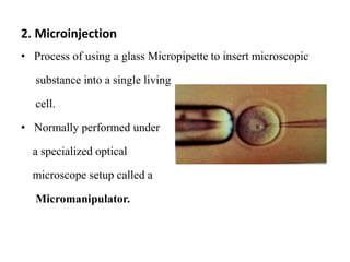 Gene Therapy & Biosafety Ethics and funtions | PDF