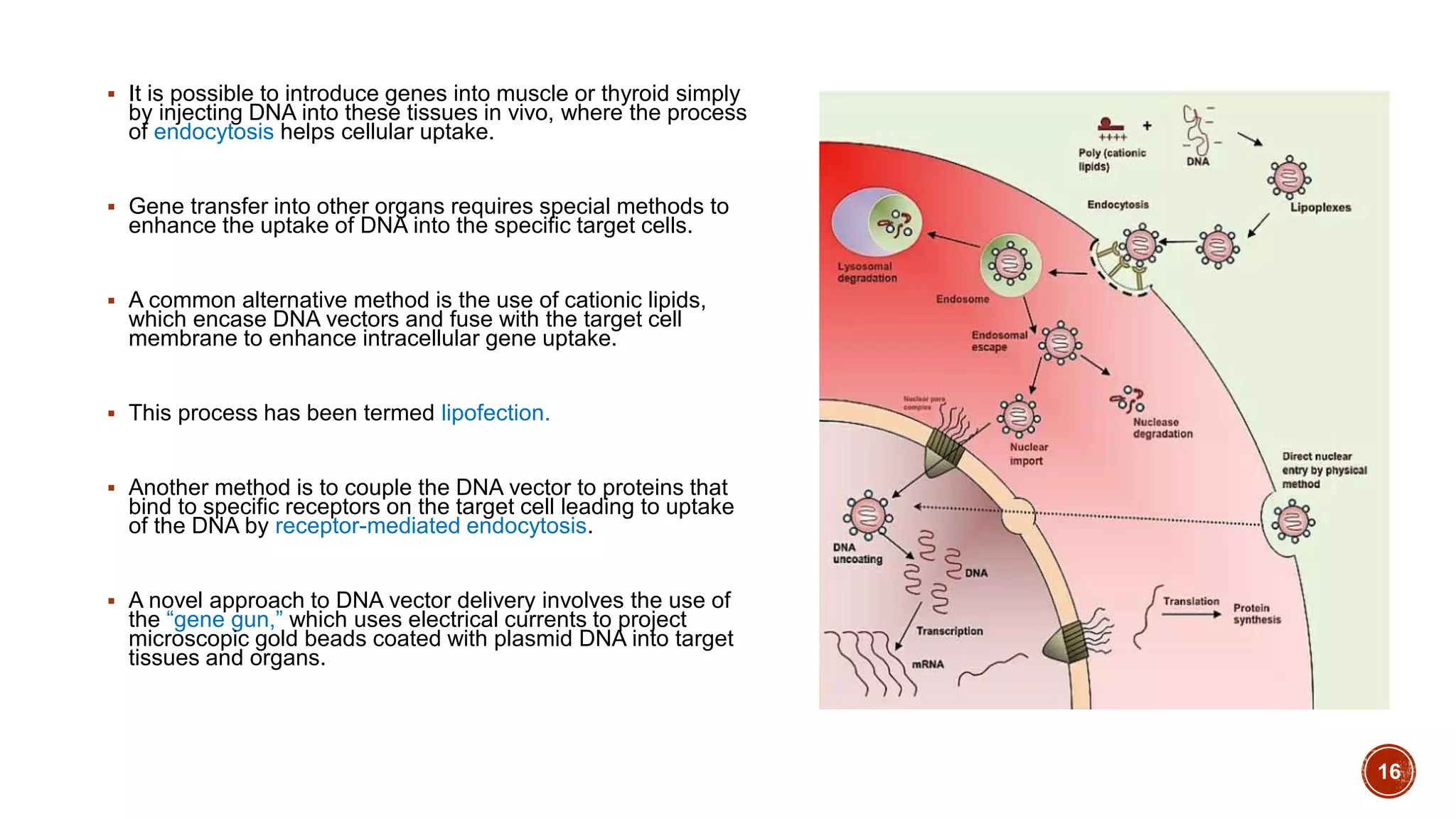 Gene therapy(dr ravindra daggupati) | PPTX