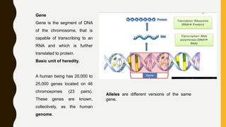 Gene therapy : Basic introduction | PPTX