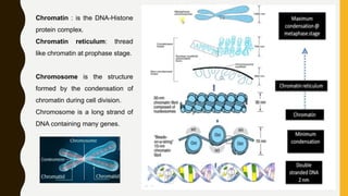 Gene therapy : Basic introduction | PPTX