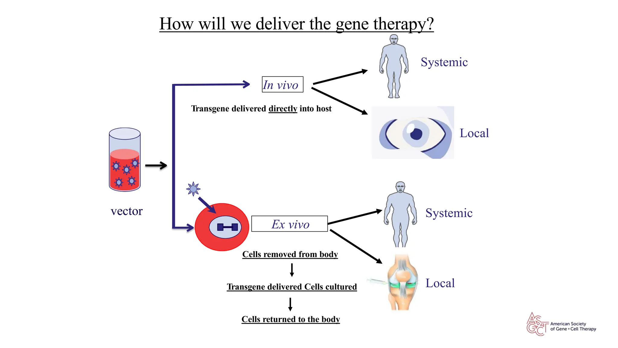 Gene_Therapy_Overview_Part one 1.pdf for | PPT
