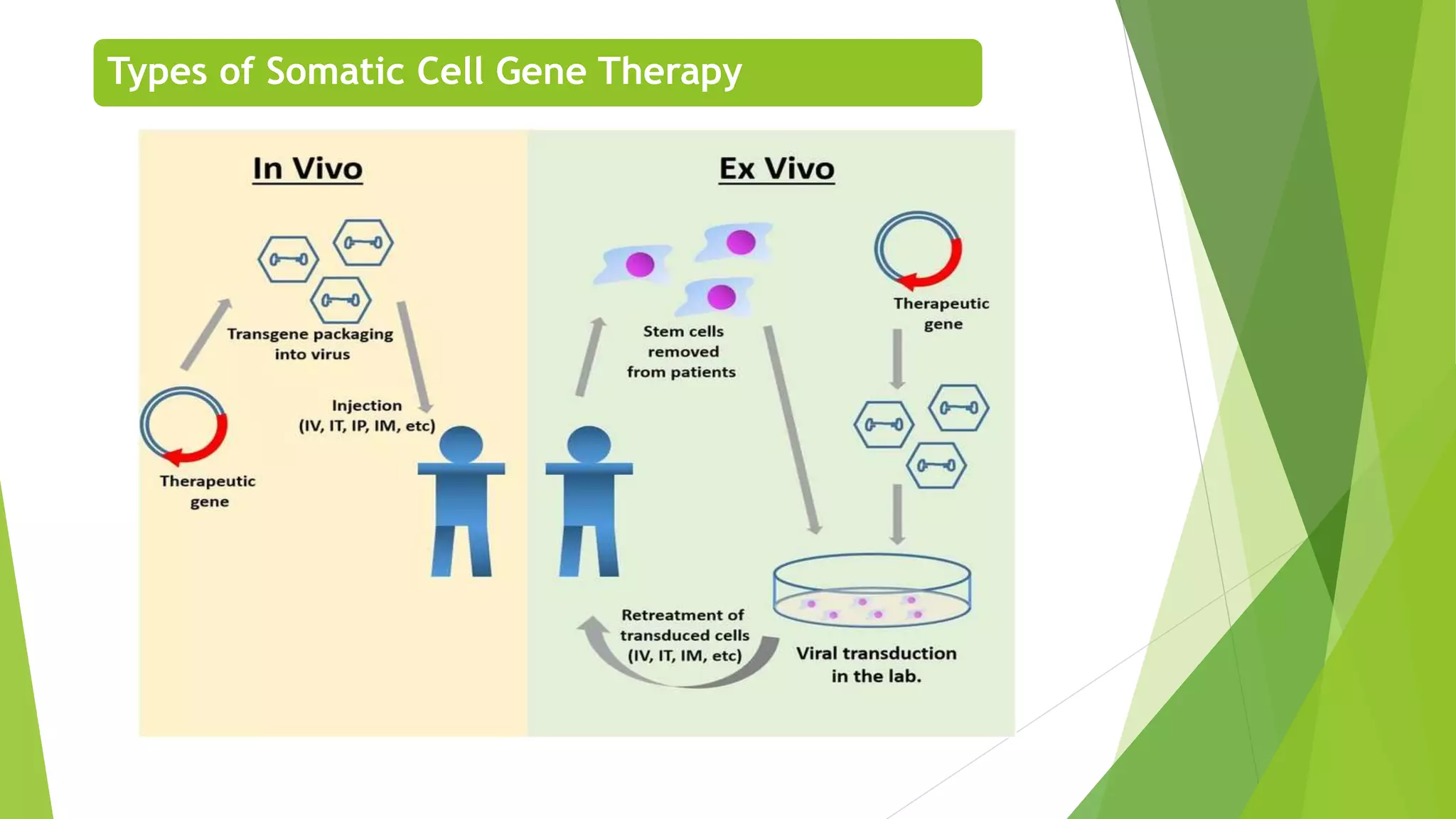 Gene therapy ppt | PPTX