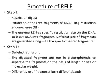 GENE THERAPY, RFLP, DNA Fingerprinting.pptx