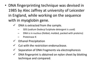GENE THERAPY, RFLP, DNA Fingerprinting.pptx