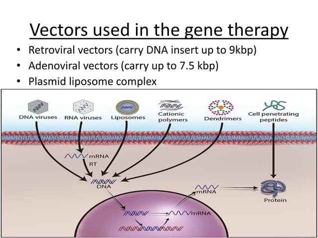 GENE THERAPY, RFLP, DNA Fingerprinting.pptx