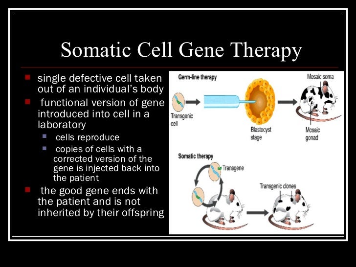Gene Therapy Gene Therapy