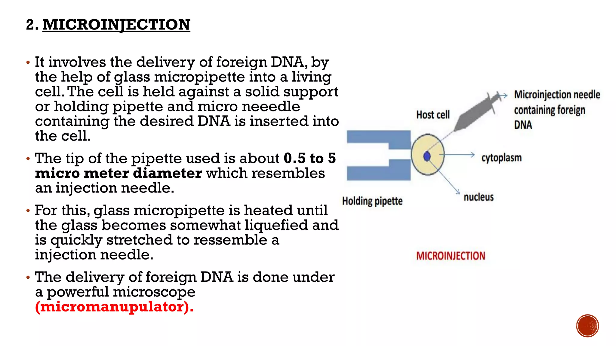 Gene therapy : Types, Gene transfer methods vectors for gene therapy ...