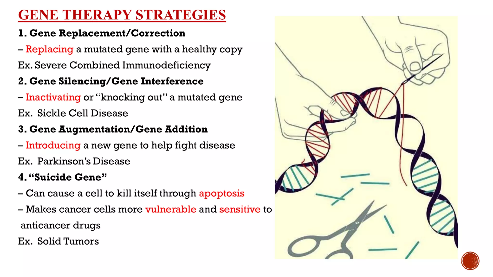 Gene therapy : Types, Gene transfer methods vectors for gene therapy ...
