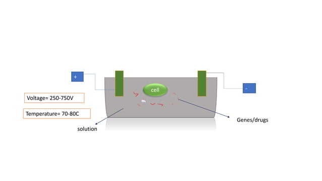 Gene therapy vehicles | PPTX