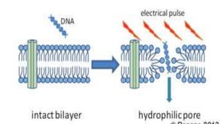 Gene therapy vehicles | PPTX