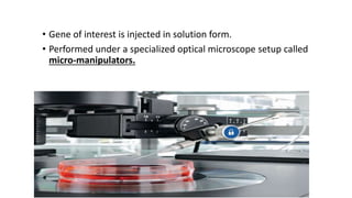 Gene therapy vehicles | PPTX