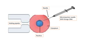 Gene therapy vehicles | PPTX