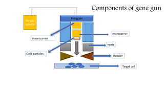 Gene therapy vehicles | PPTX