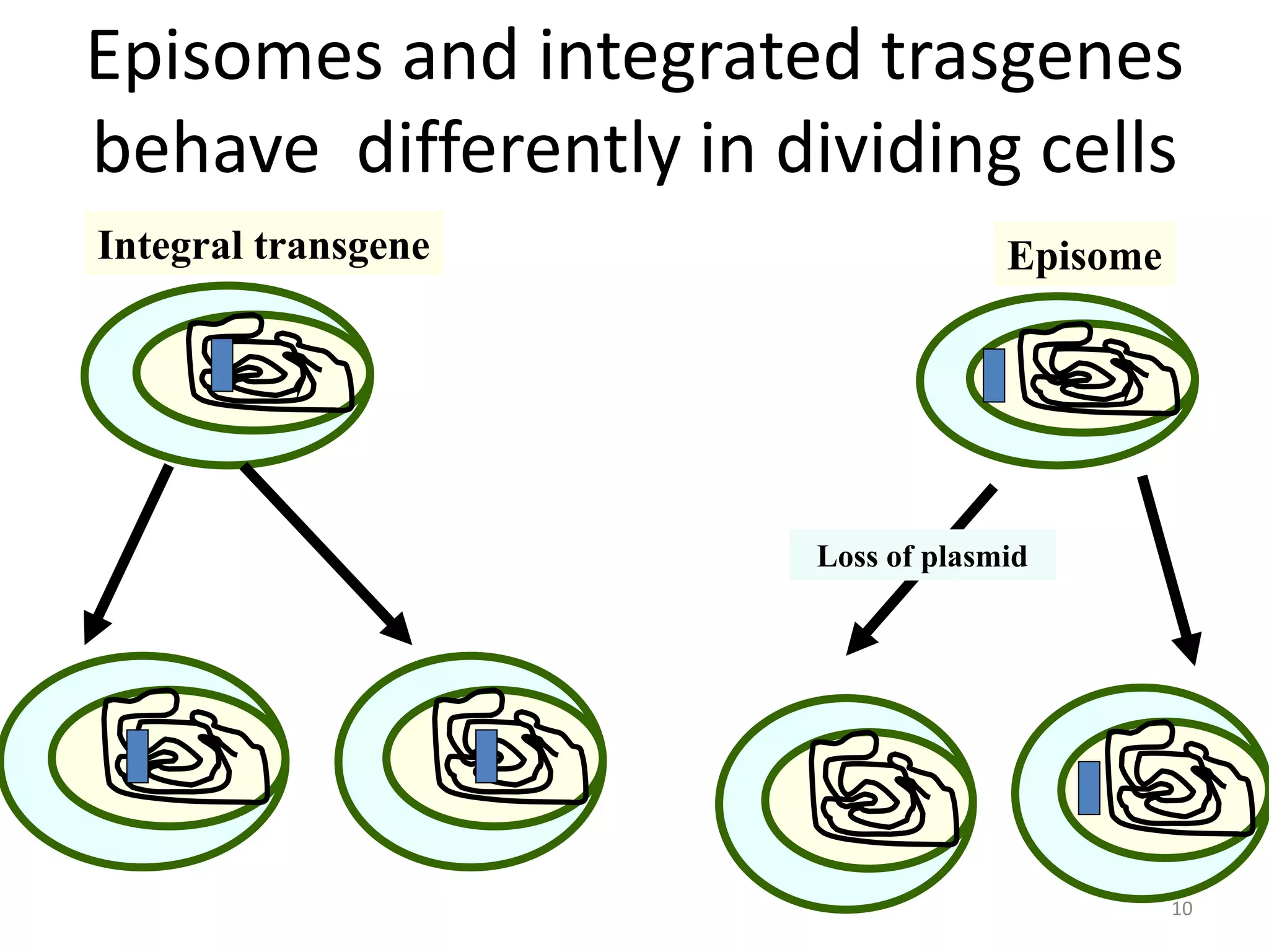 Gene therapy with viral and non viral vectors.pptx | Biological ...