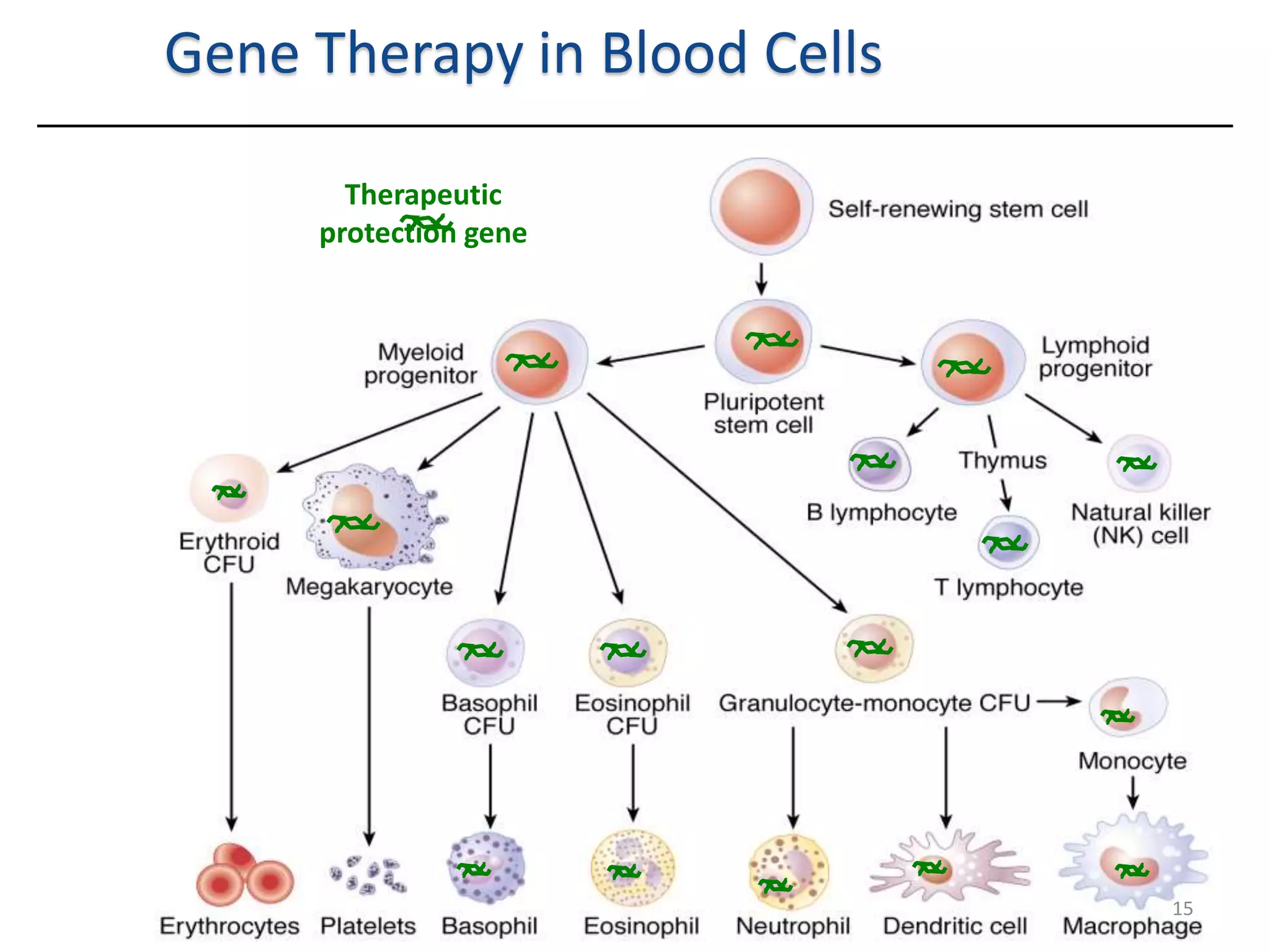 Gene therapy with viral and non viral vectors.pptx