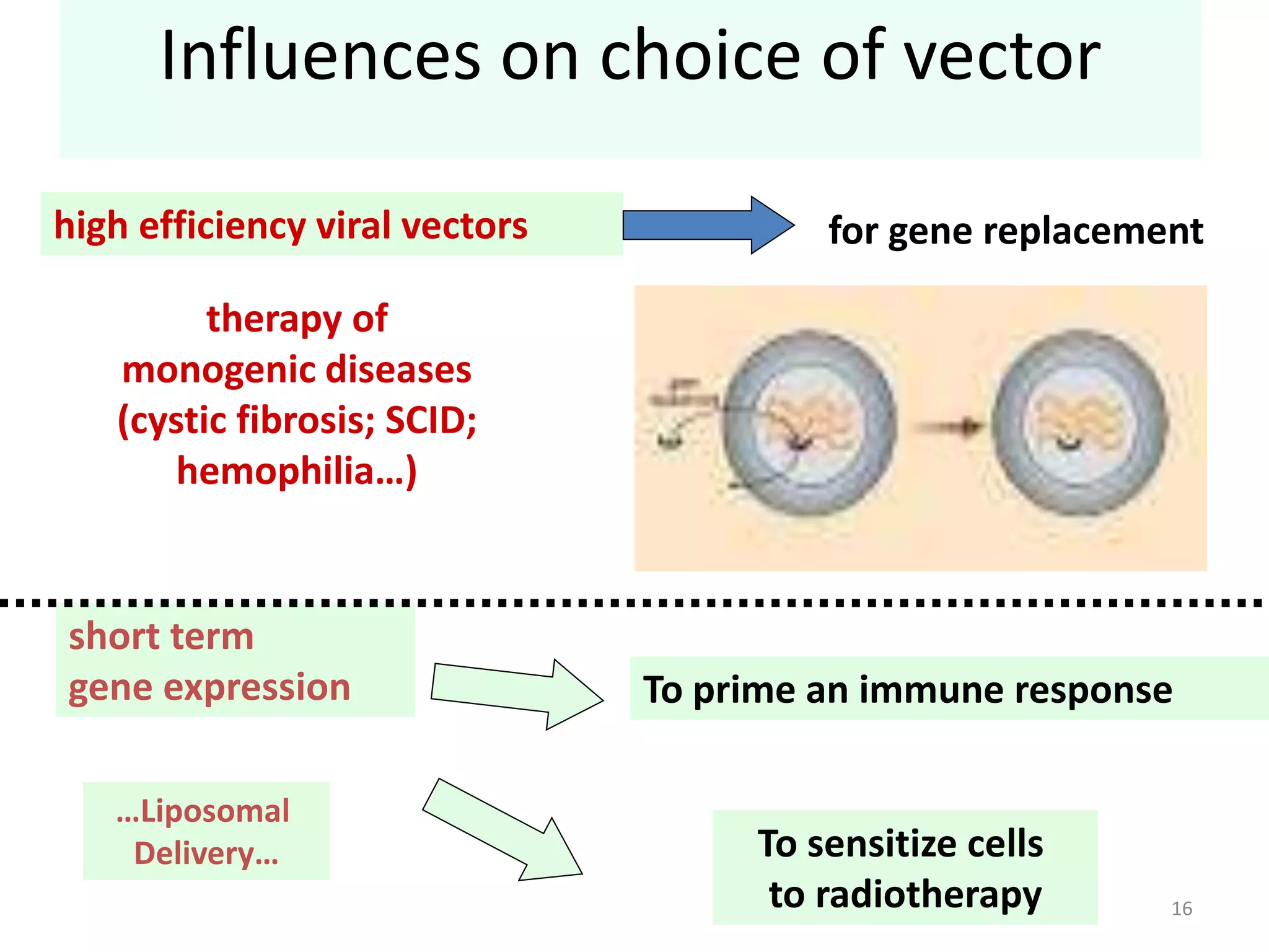 Gene therapy with viral and non viral vectors.pptx | Biological ...